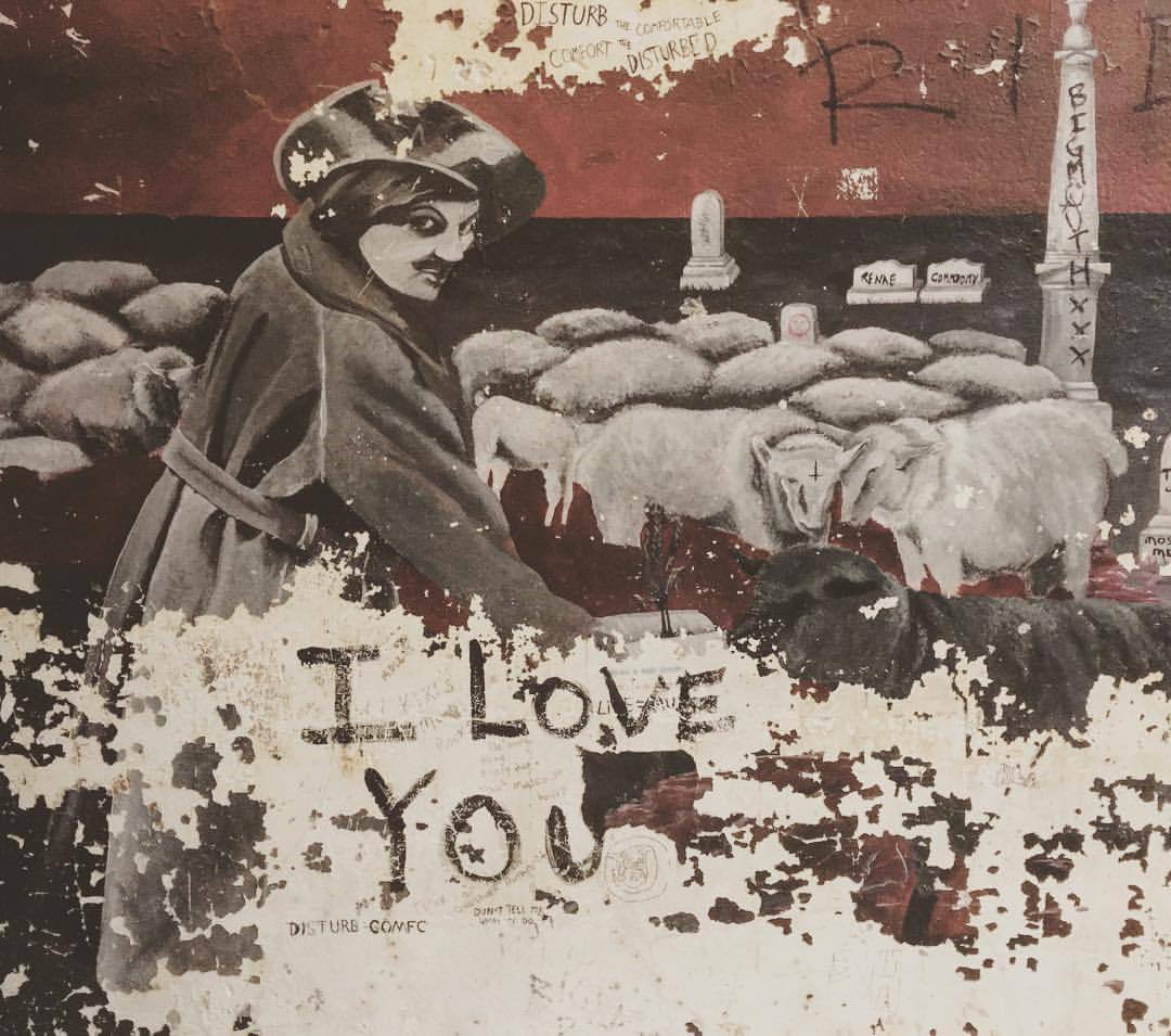 Rachel Otwell (NPR IL): “On The Romance & Reality of Black Sheep” + FAQ ...