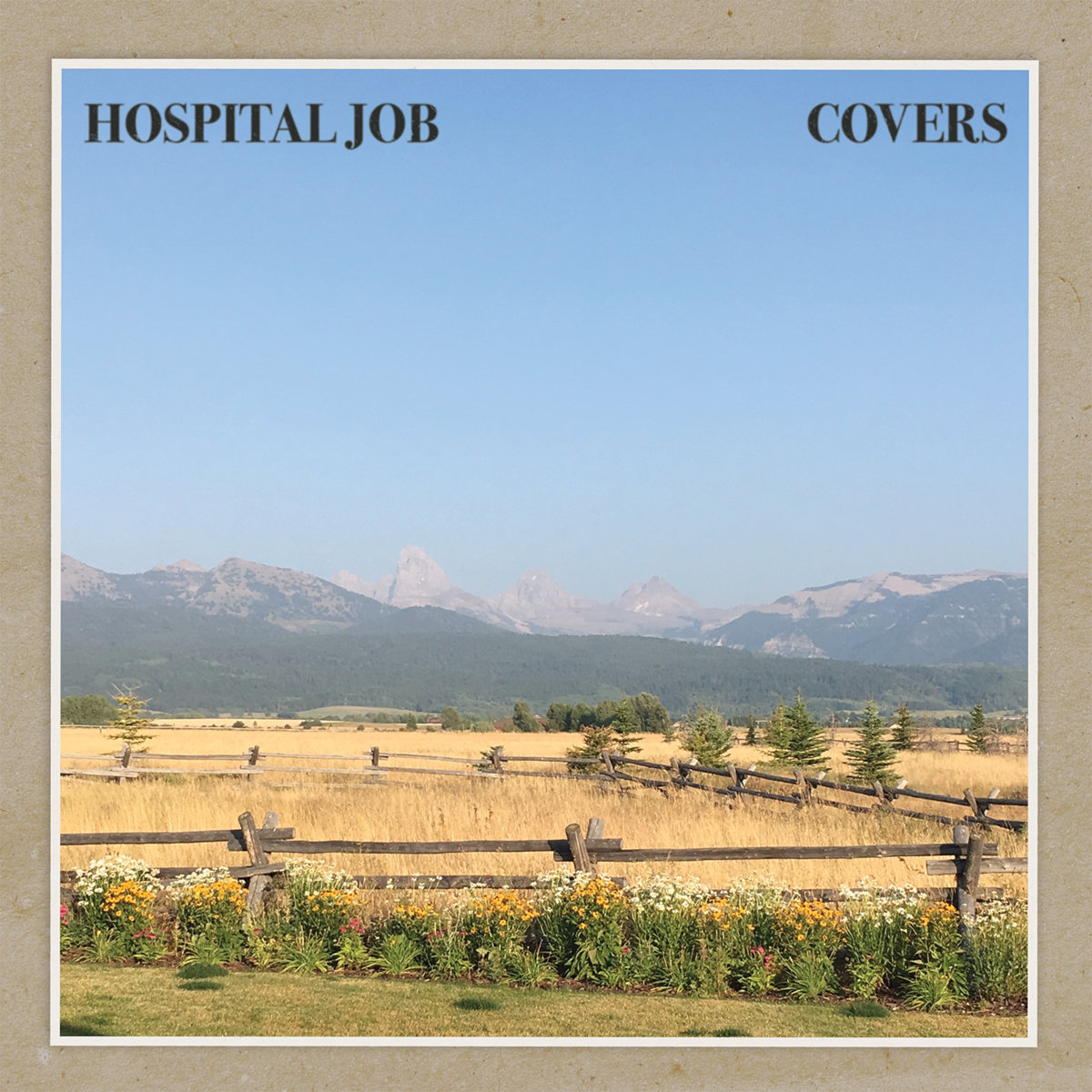 Hospital Job: “Covers” | Dumb Records
