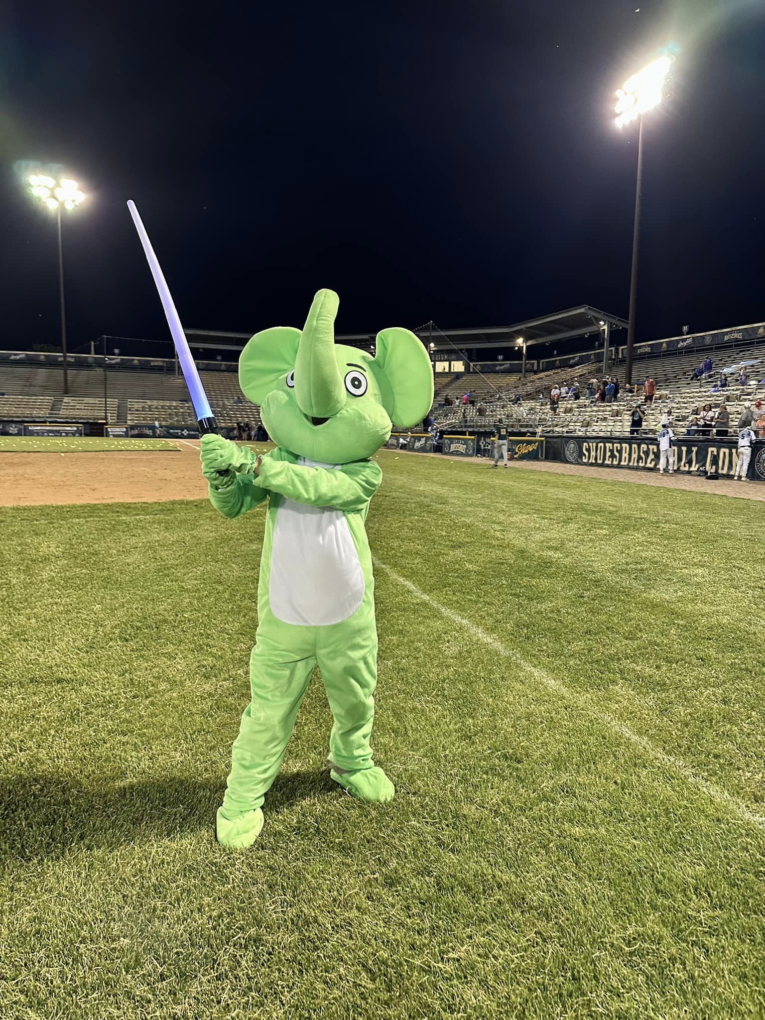 Star Wars Elephant Baseball | Dumb Records