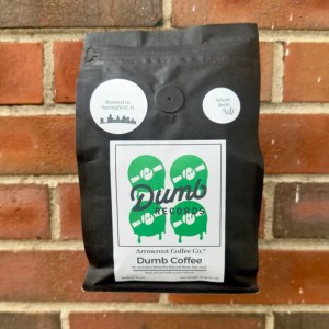 Dumb Records | Record Store And All Ages Show Space In Downtown Springfield